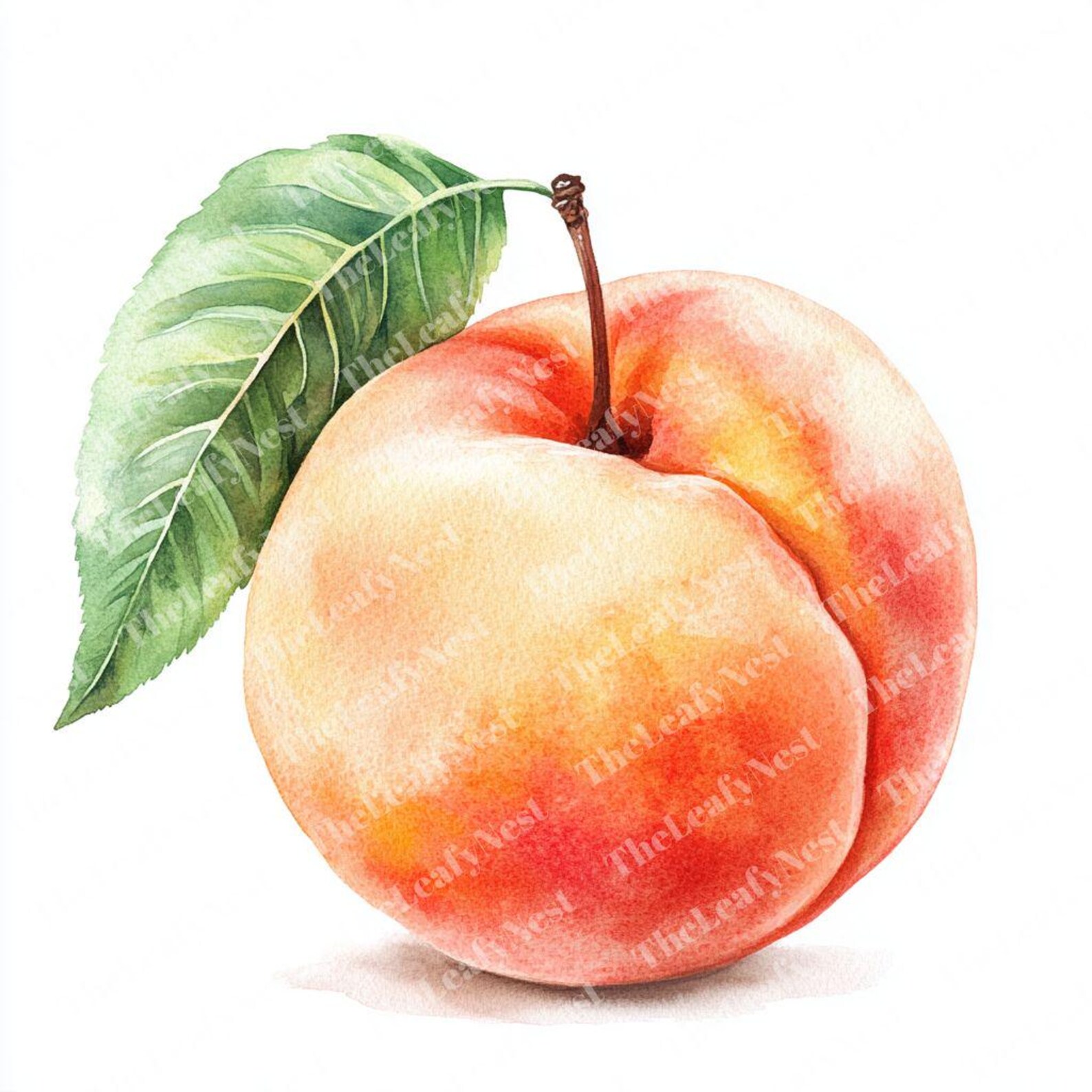 13 Peach Clipart, Ripe Fuzzy Peach With Leaf Clipart, Printable ...