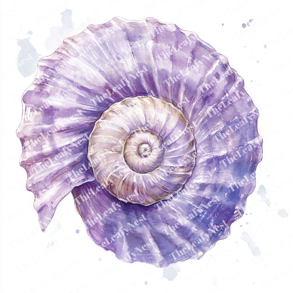 8 Spiral Shell Clipart, Soft Purple Watercolor Beach Shell, Printable ...