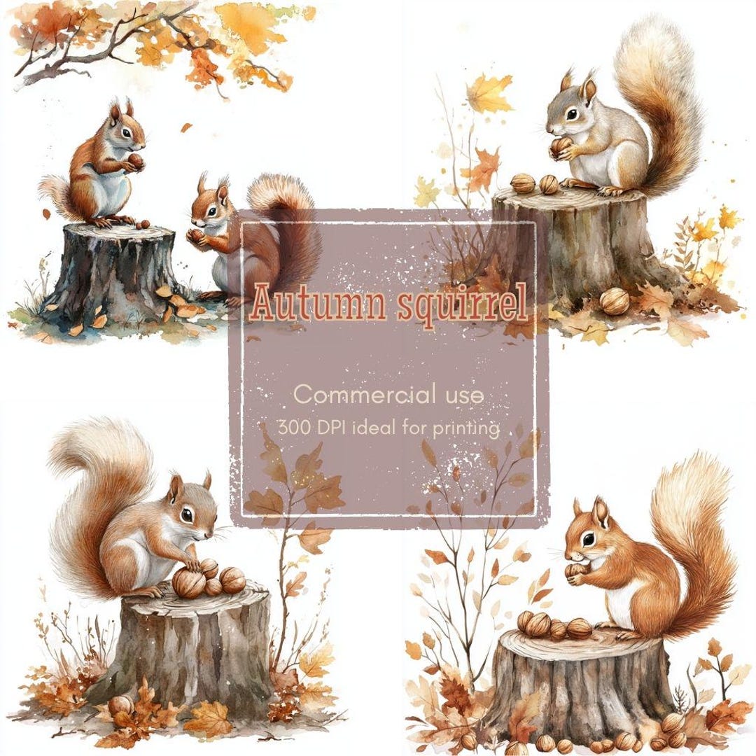 12 Autumn Squirrel Clipart, Tree Stump Forest Clipart, Woodland Animal ...