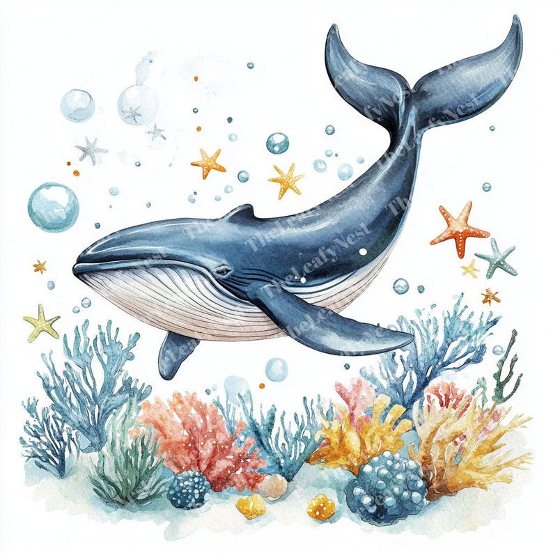 16 Whale Clipart, Coral Ocean Clipart, Sea Life Clipart, Printable ...