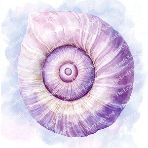 8 Spiral Shell Clipart, Soft Purple Watercolor Beach Shell, Printable ...
