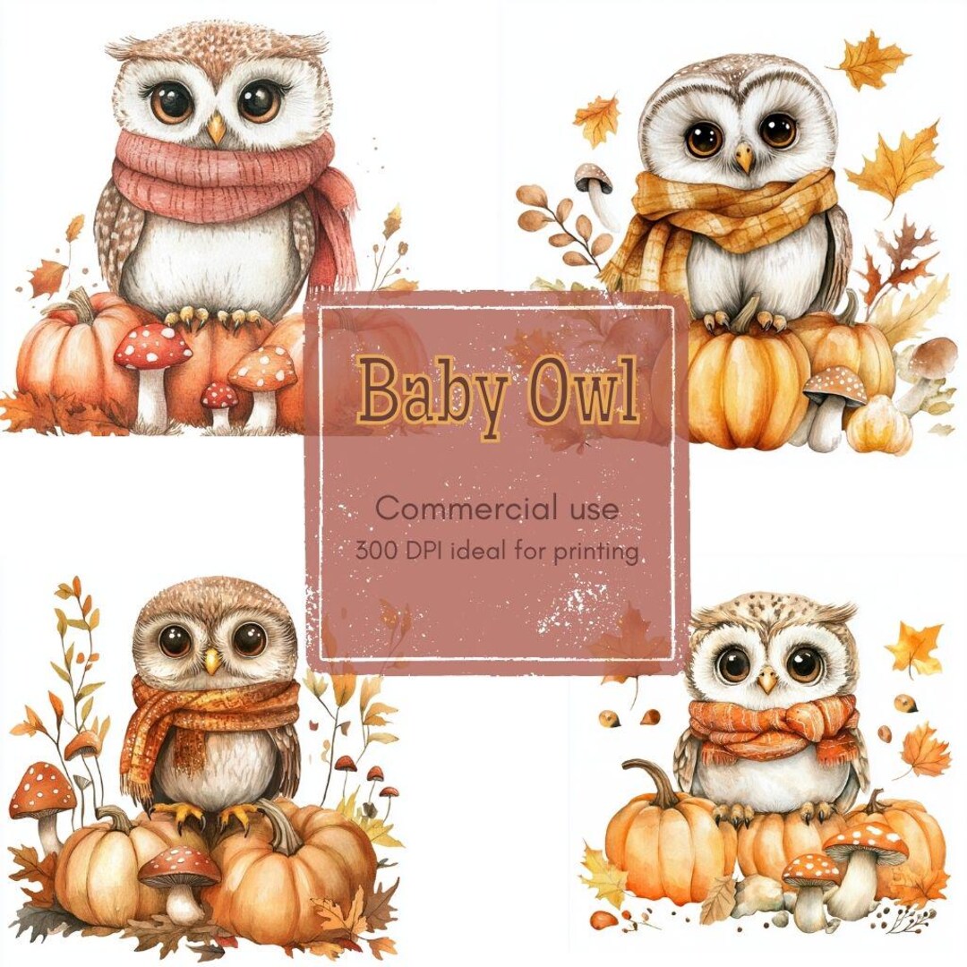 16 Autumn Owl Clipart, Woodland Baby Owl Clipart, Pumpkin Mushroom ...
