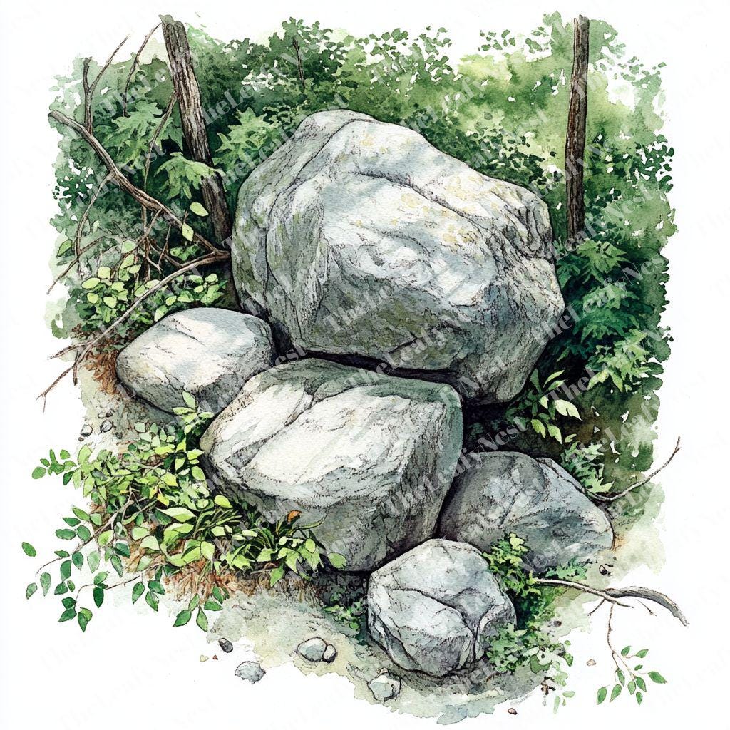 17 Forest Rock Clipart, Boulder Nature Clipart, Woodland Ground Clipart ...