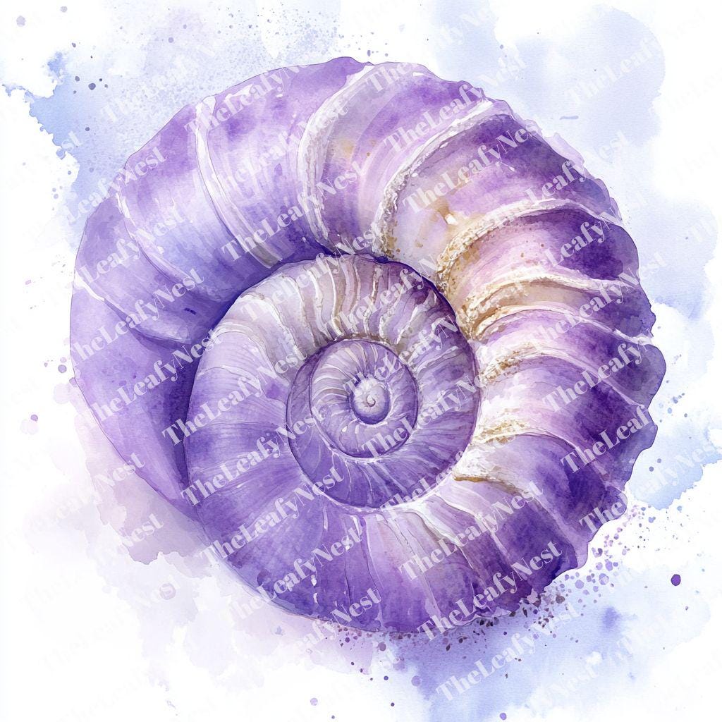 8 Spiral Shell Clipart, Soft Purple Watercolor Beach Shell, Printable ...