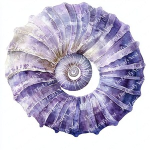 8 Spiral Shell Clipart, Soft Purple Watercolor Beach Shell, Printable ...