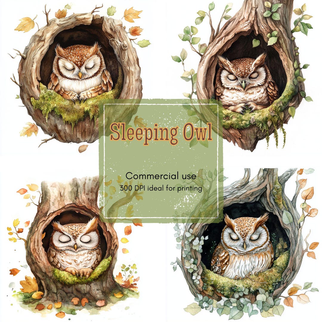 16 Sleeping Owl Clipart, Tree Hollow Owl Clipart, Cozy Forest Clipart ...