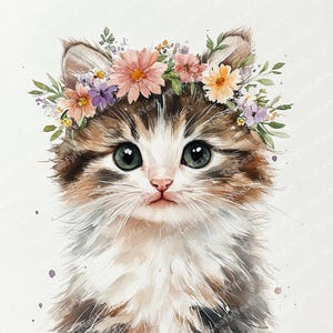 12 Cat Clipart Bundle - Cute Cat Illustrations - Digital Download ...