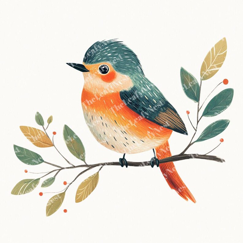 12 Scandinavian Robin Clipart, Minimalist Bird Clipart, Printable ...