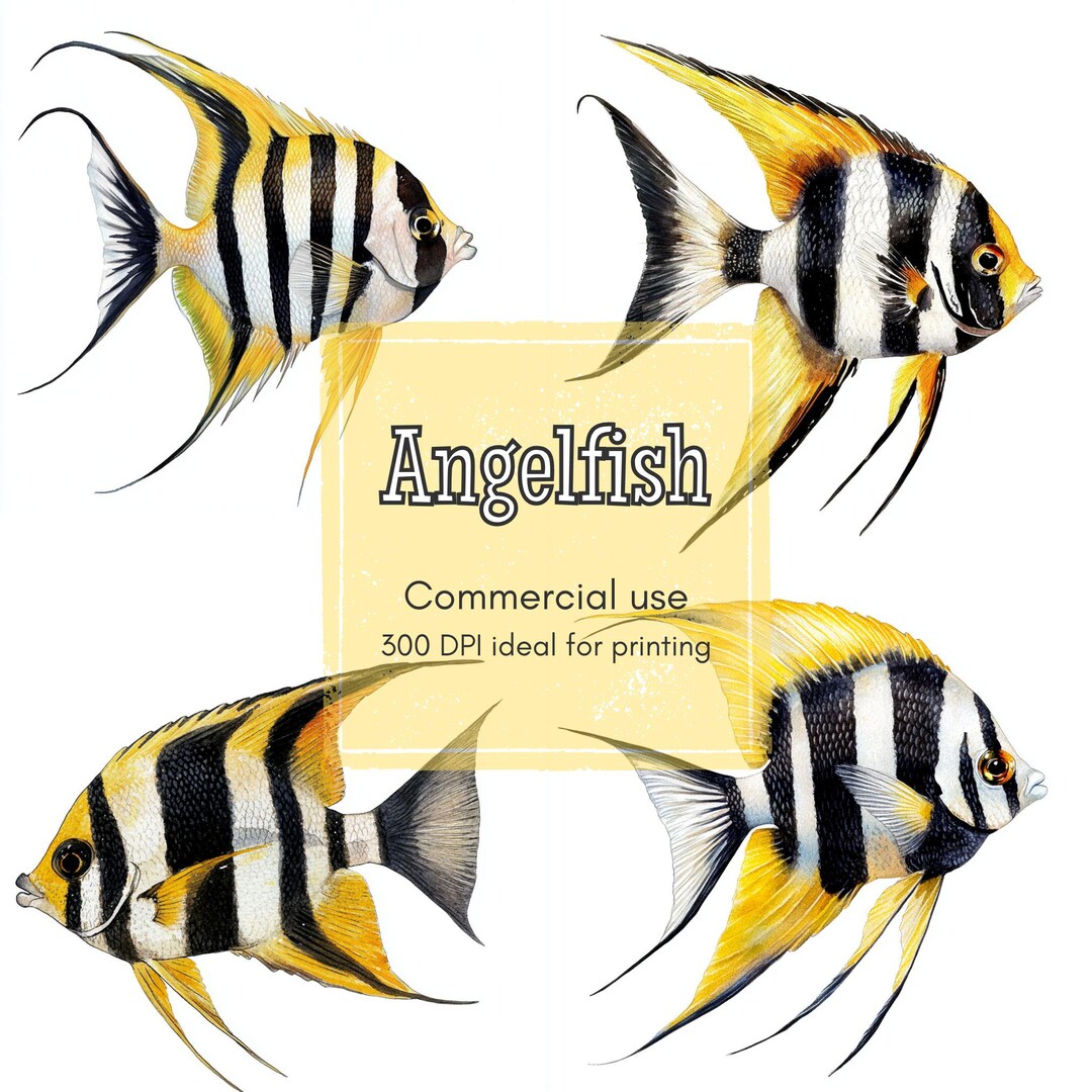Watercolor Angelfish Clipart: Tropical Fish Art, Elegant Aquarium ...