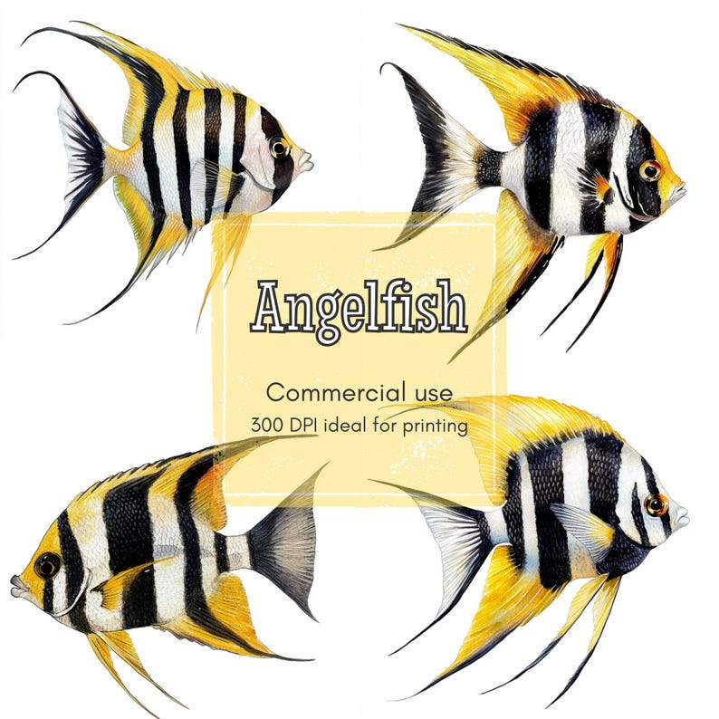 Watercolor Angelfish Clipart: Tropical Fish Art, Elegant Aquarium ...