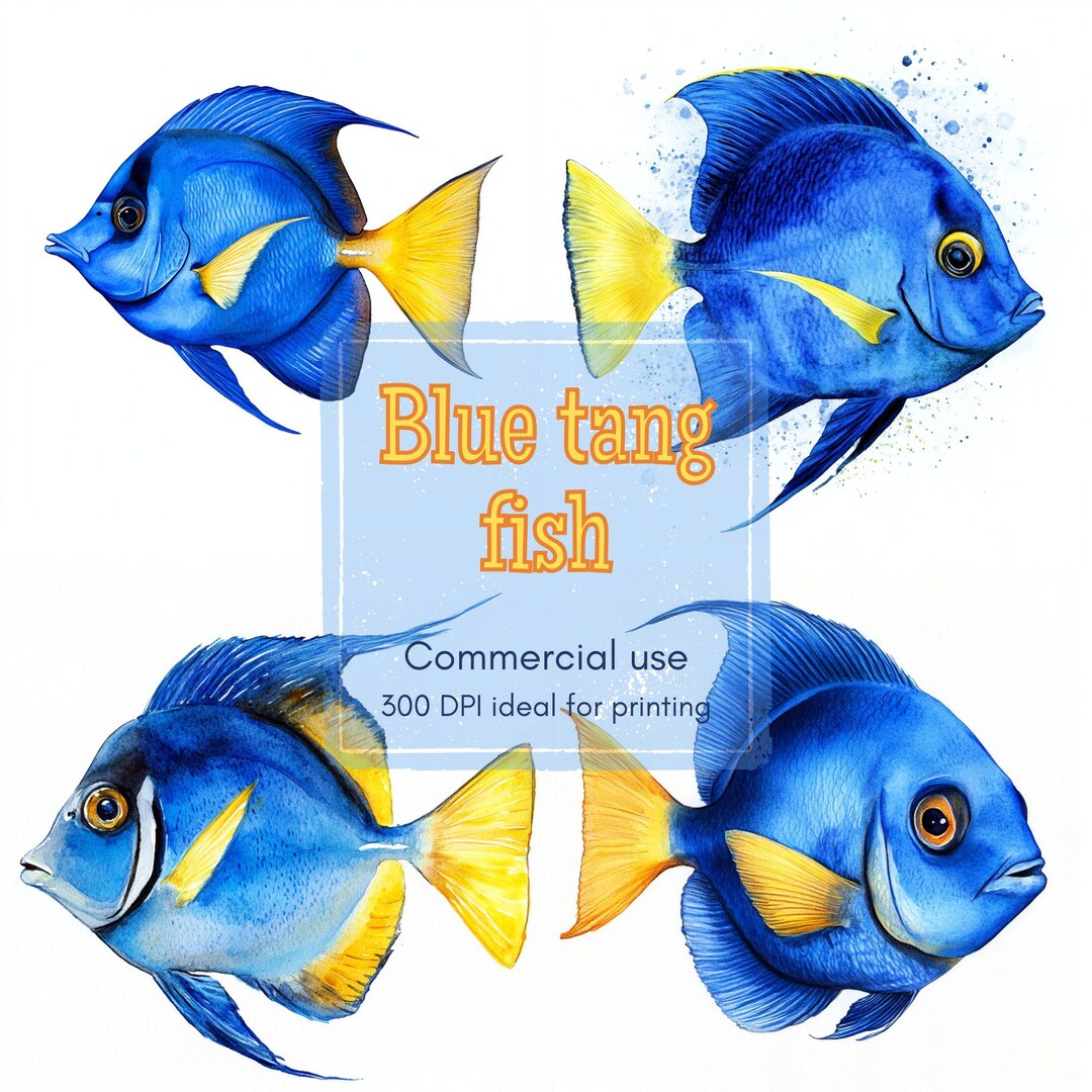 16 Blue Tang Clipart, Royal Blue Fish Clipart, Yellow Tail Tropical ...