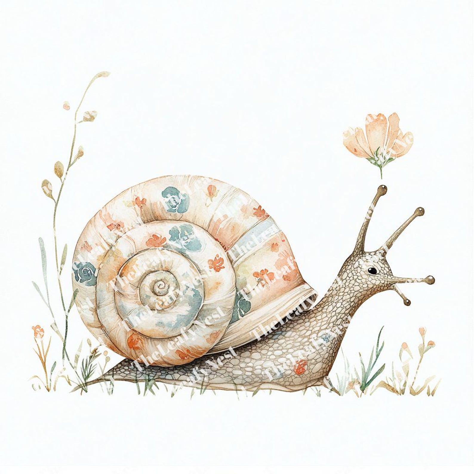 9 Whimsical Floral Snail Clipart, Watercolor Snail With Wildflower ...