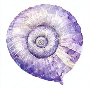 8 Spiral Shell Clipart, Soft Purple Watercolor Beach Shell, Printable ...