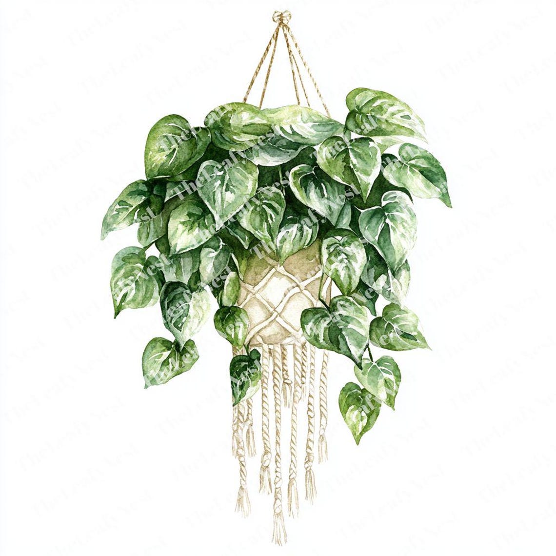 14 Pothos Plant Clipart, Macramé Hanging Plant Clipart, Printable ...
