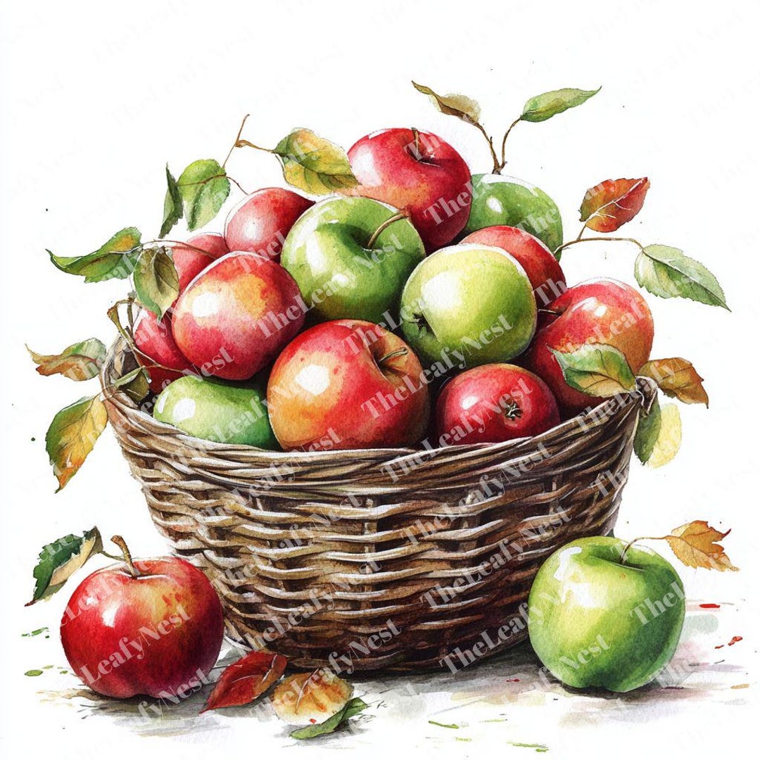 12 Apple Basket Clipart, Red and Green Apples Clipart, Printable ...