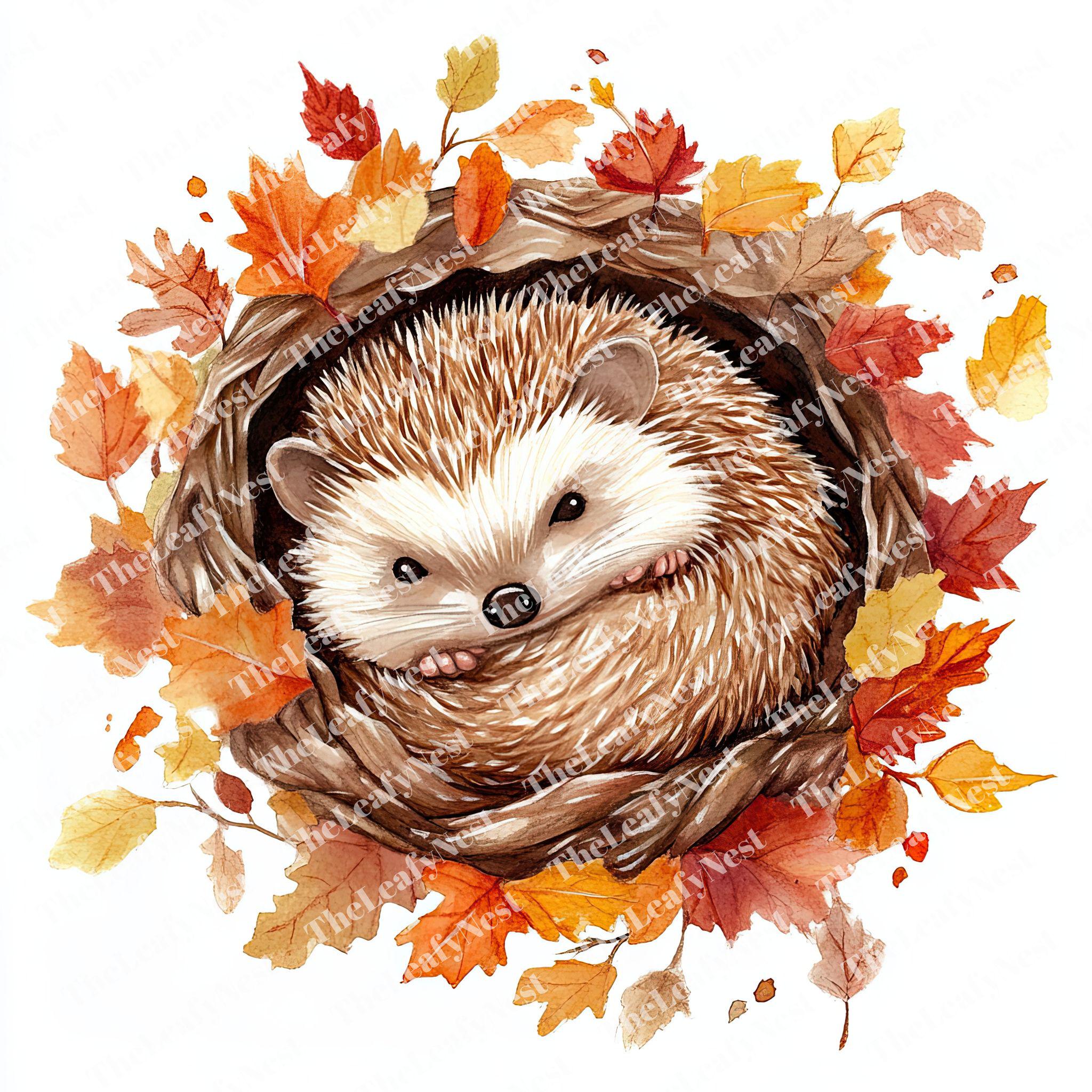19 Autumn Hedgehog Clipart, Hedgehog Exploring, Printable Watercolor ...