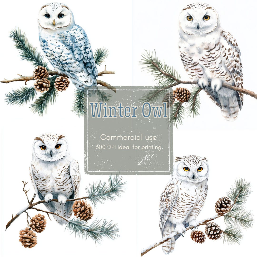 Snowy Owl Clipart: Winter Forest Watercolor Bird Art JPG, PNG Digital ...