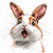 12 Surprised Bunny Clipart, Surprised Rabbit, Printable Watercolor ...