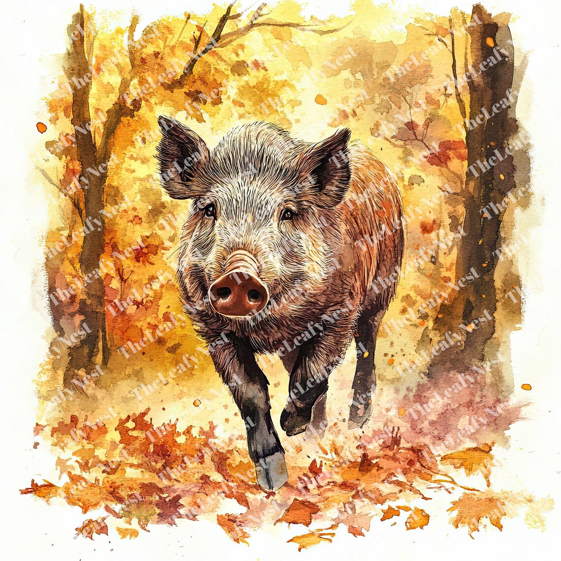 13 Wild Boar Clipart, Wild Boar Autumn Clipart, Printable Watercolor ...