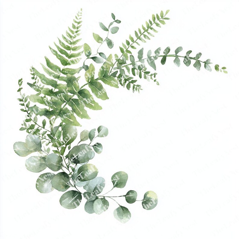 12 Greenery Clipart Arrangement 2, Fern Eucalyptus Vine Clipart ...