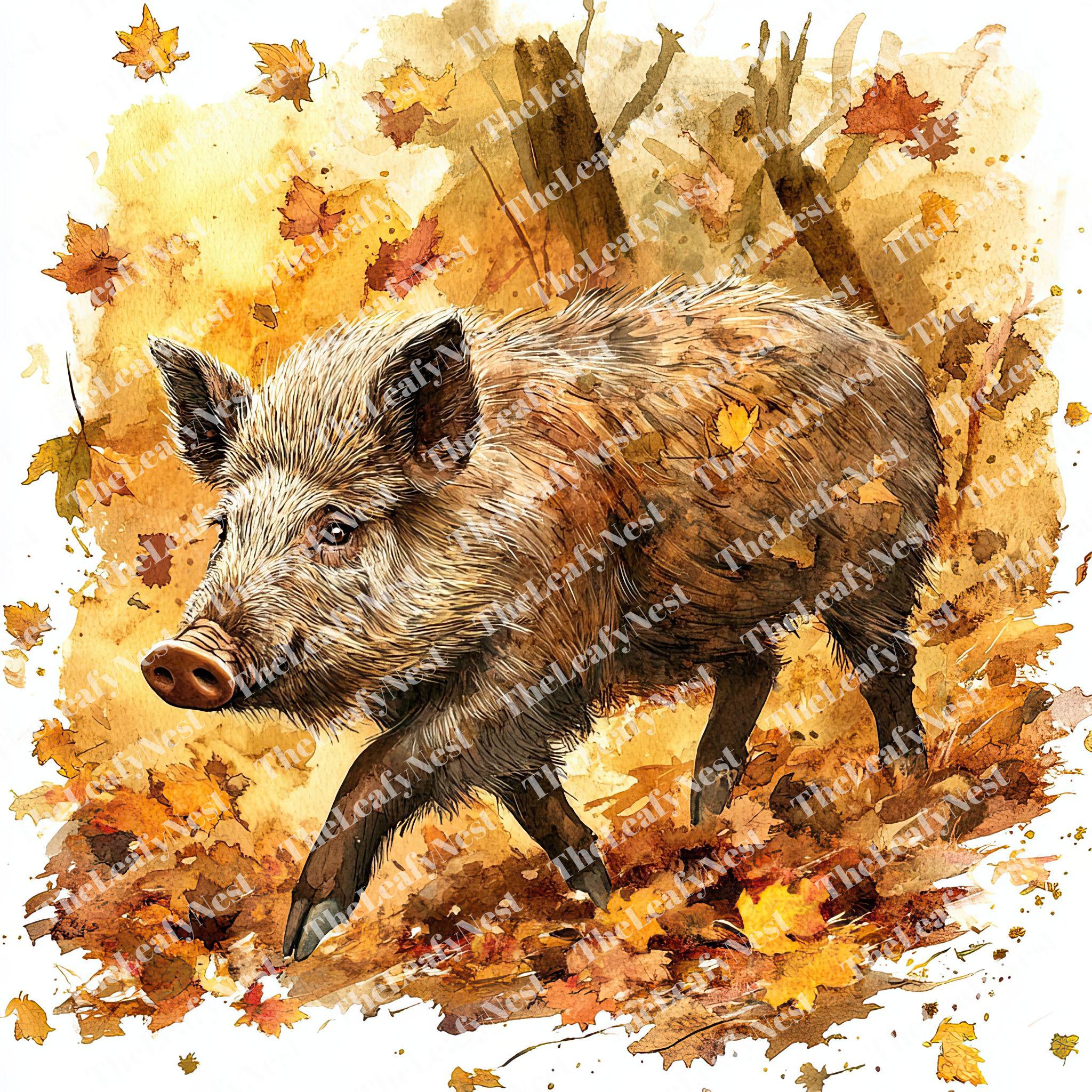13 Wild Boar Clipart, Wild Boar Autumn Clipart, Printable Watercolor ...