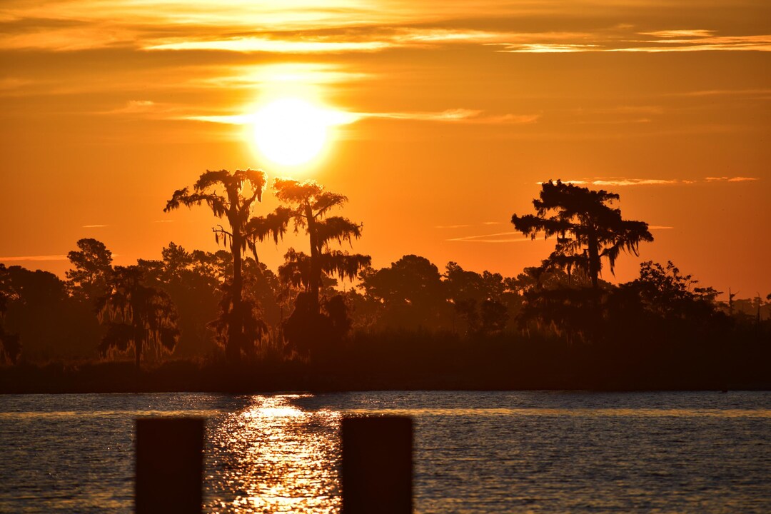 Sunrise on the Tchefuncte River: Capturing Cypress Serenity, Nature’s ...