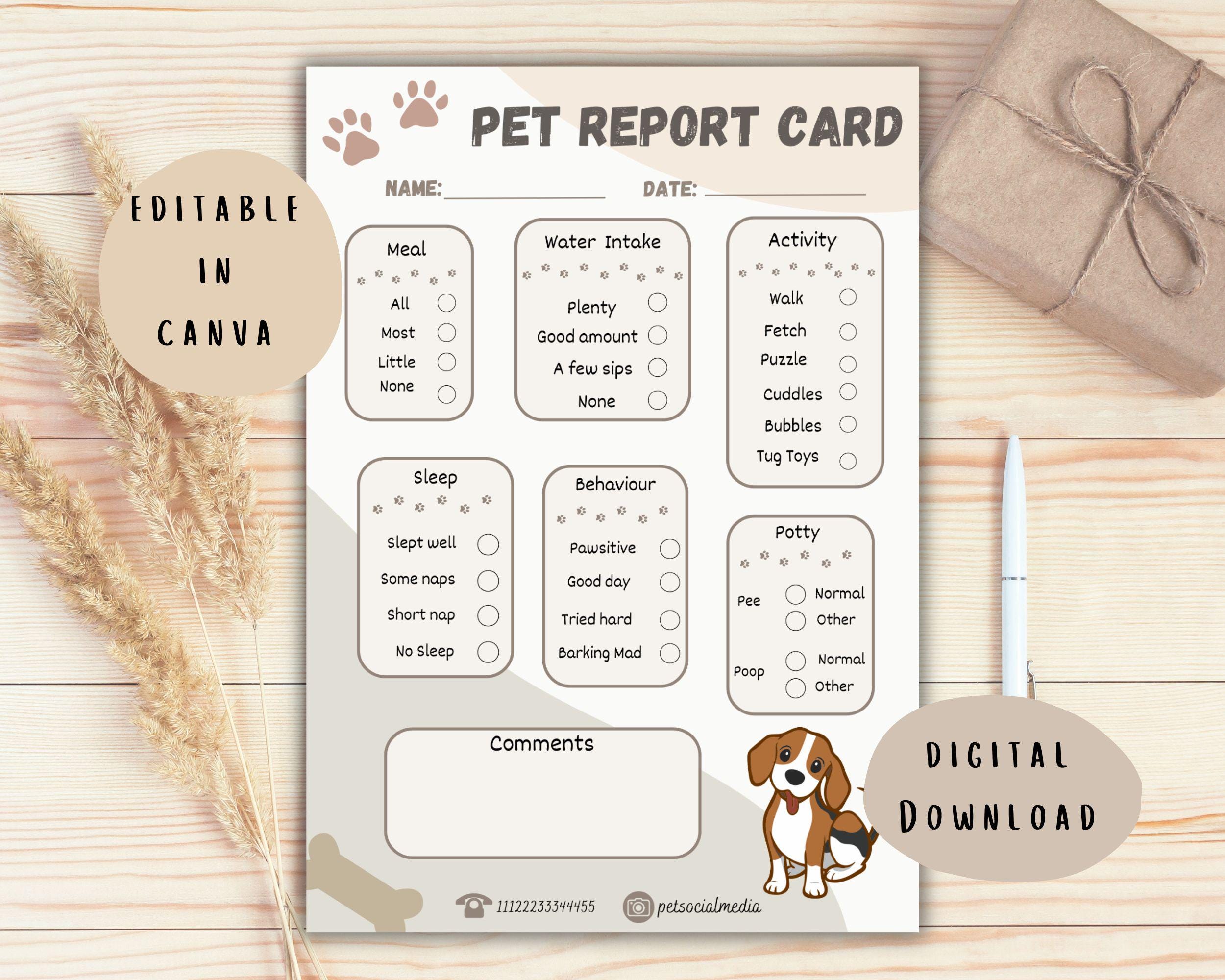 Editable Pet Report Card Template, Pet Sitter & Doggy Day Care Business ...