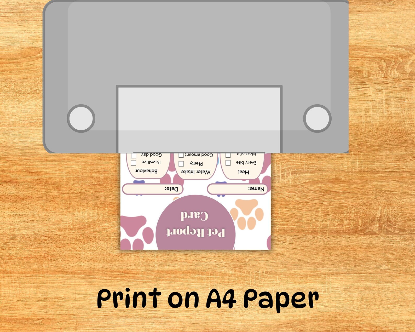 Editable Pet Report Card Template, Pet Sitter & Doggy Day Care Business ...