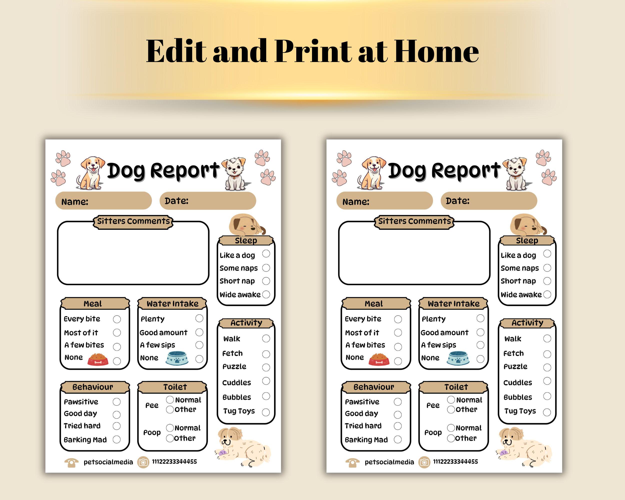 Dog Report Card Digital Template, Editable Template, Pet Sitter Report ...