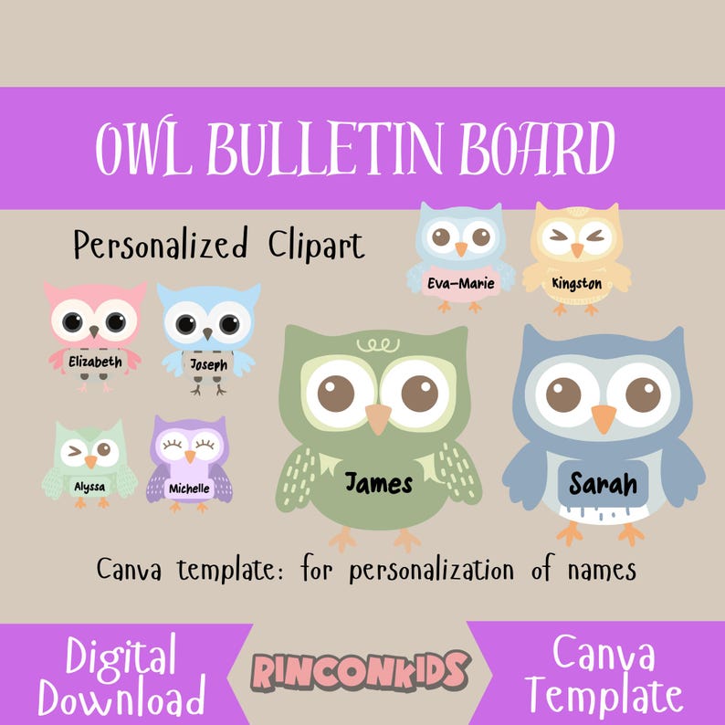 Owl Bulletin Board: Editable Classroom Decor Canva Template (digital ...