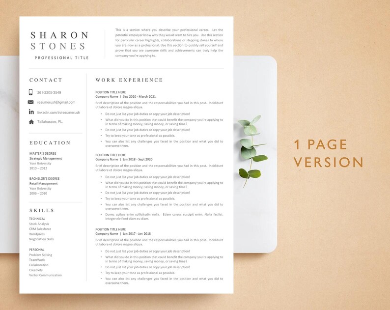 Resume Template | CV Template | Professional Resume Template for Word ...