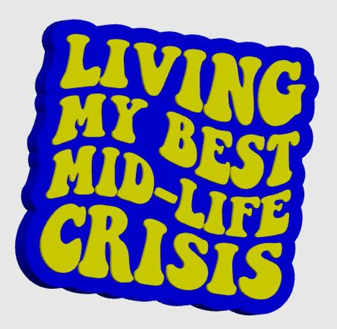 Life Crisis Straw Topper STL, 3D Printed File Straw Buddy, Fits Stanley ...