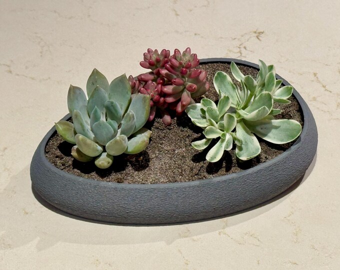 Stylish 3d-printed Plant Pot Modern Succulent Planter Home Decor Gift ...