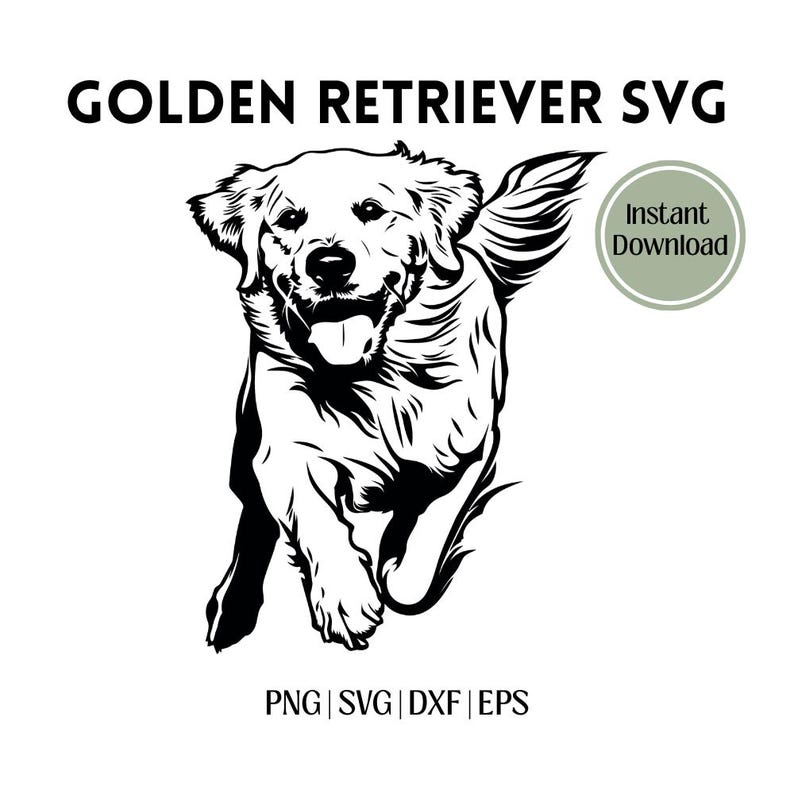 Golden Retriever SVG | PNG & More - Etsy