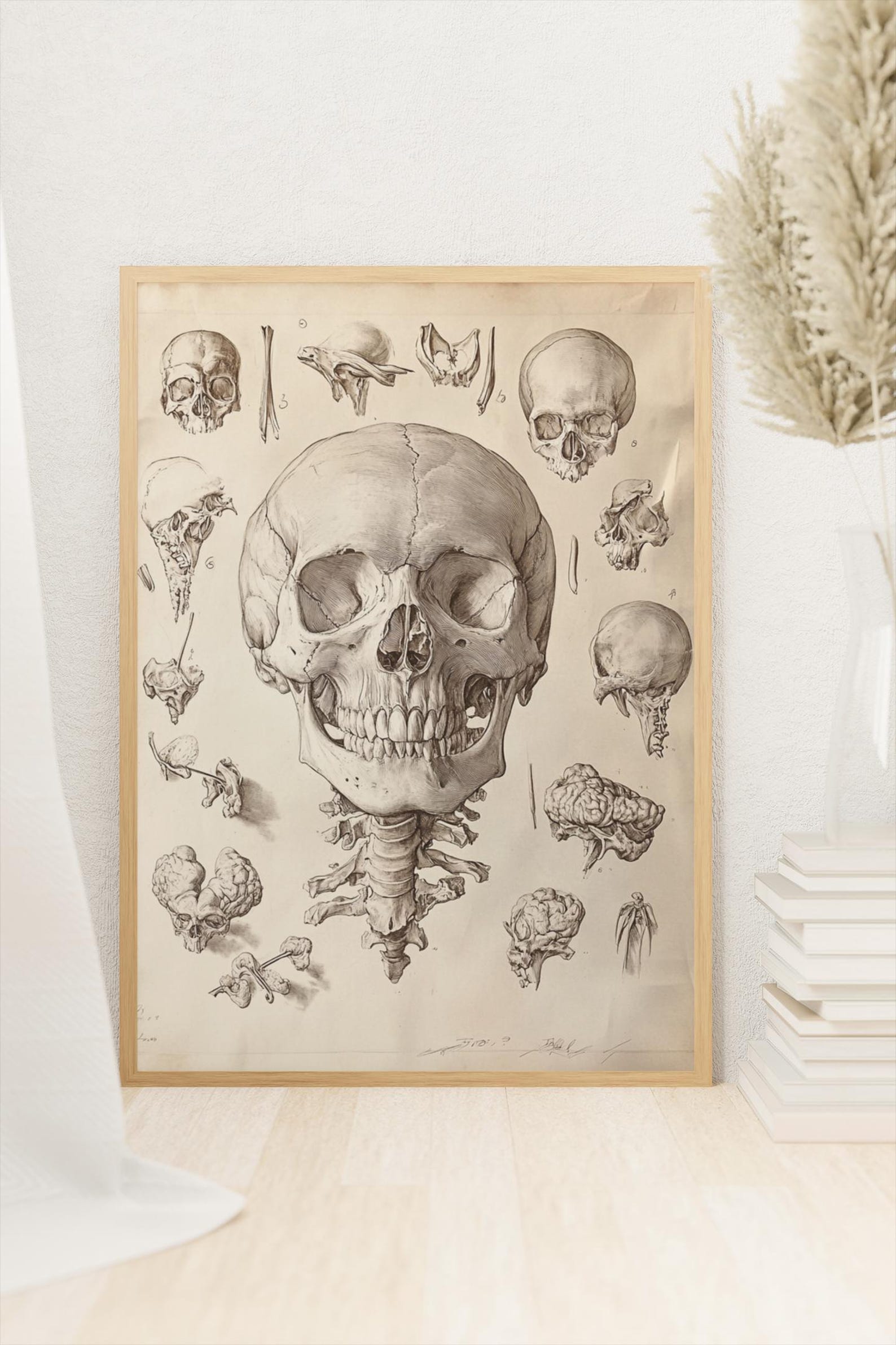 Anatomical Skull Study- Intricate Digital Art Print. Perfect for Home ...
