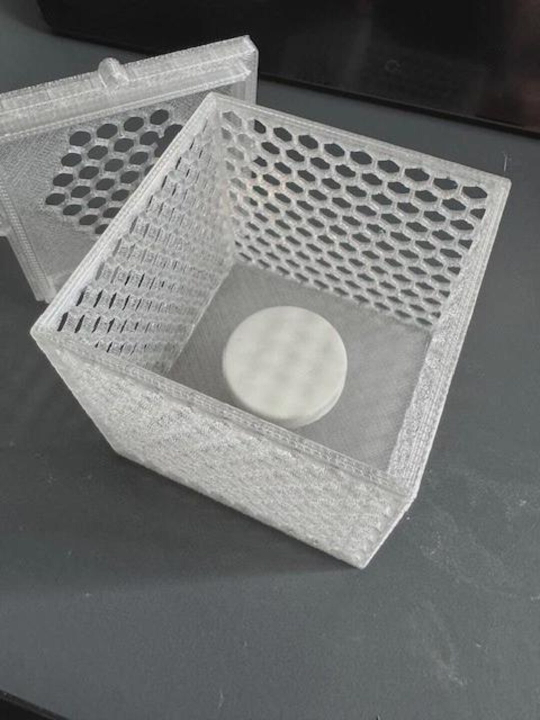 Clear 3D Printed Mushroom Coral Propagation Cage With Frag Support ...