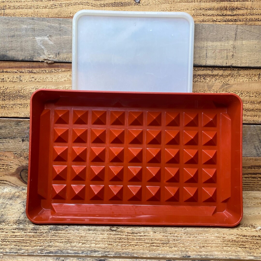Tupperware ~ Bacon Deli Vintage Meat Keeper ~ Paprika Color ~ 1292-7 W ...