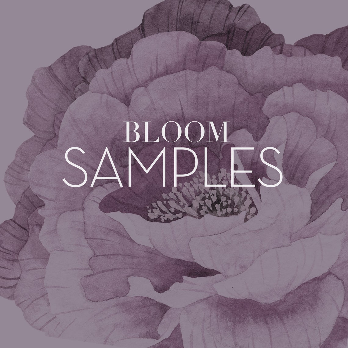 Bloom Wall Stickers - SAMPLE SWATCHES - Etsy