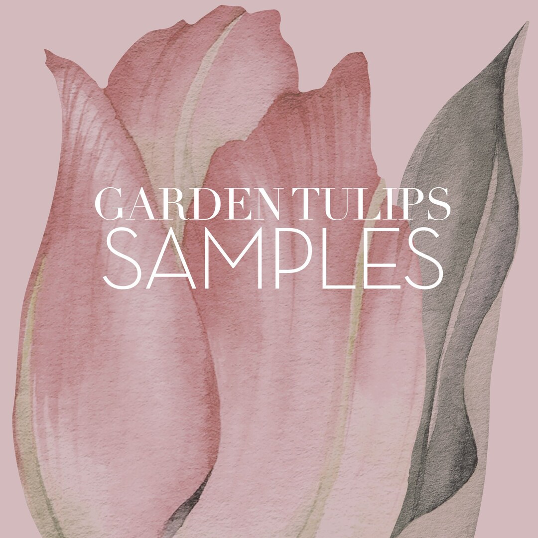 Garden Tulips - SAMPLE SWATCHES - Etsy