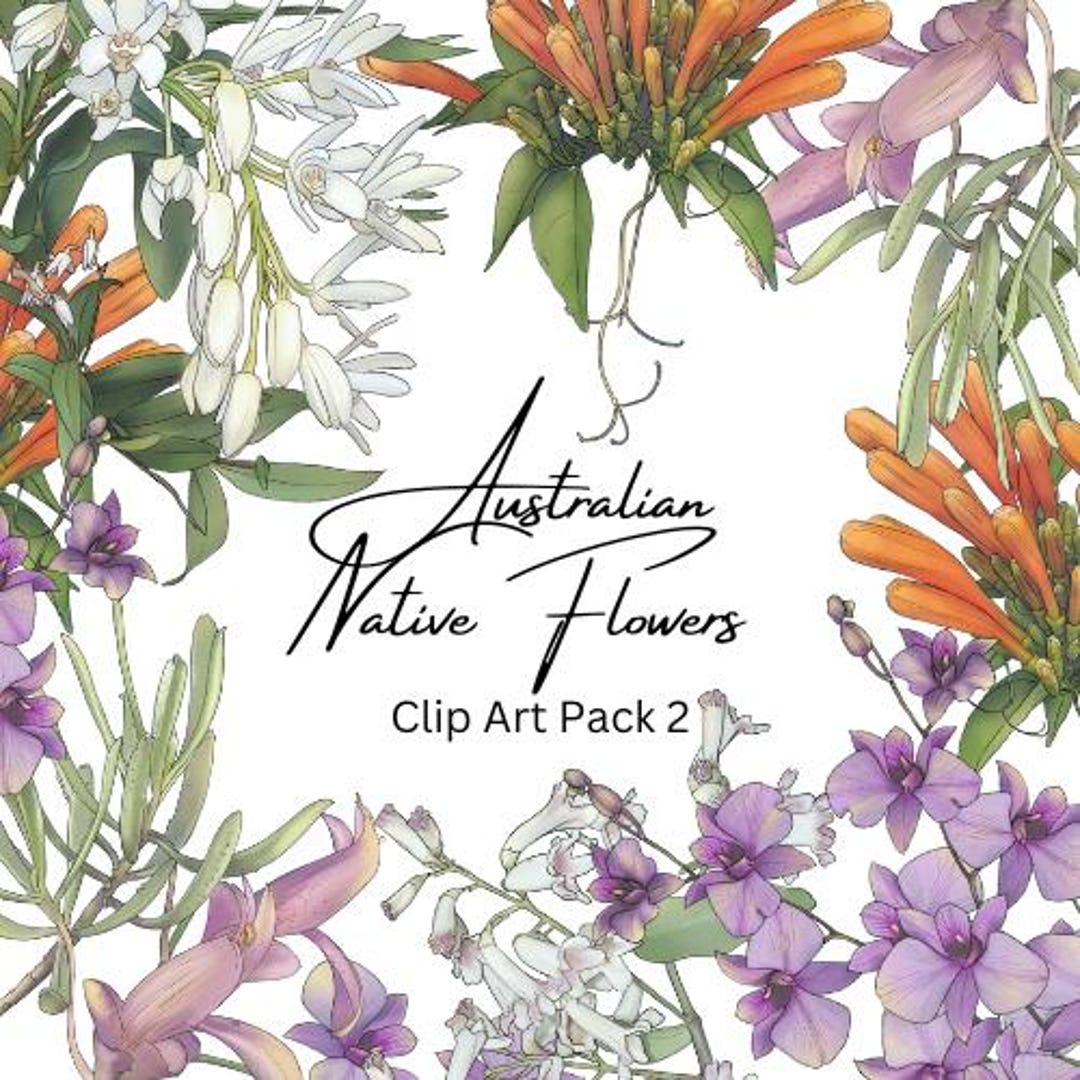 Australian Native Flower Digital Print – Cooktown Orchid, Sydney Rock ...