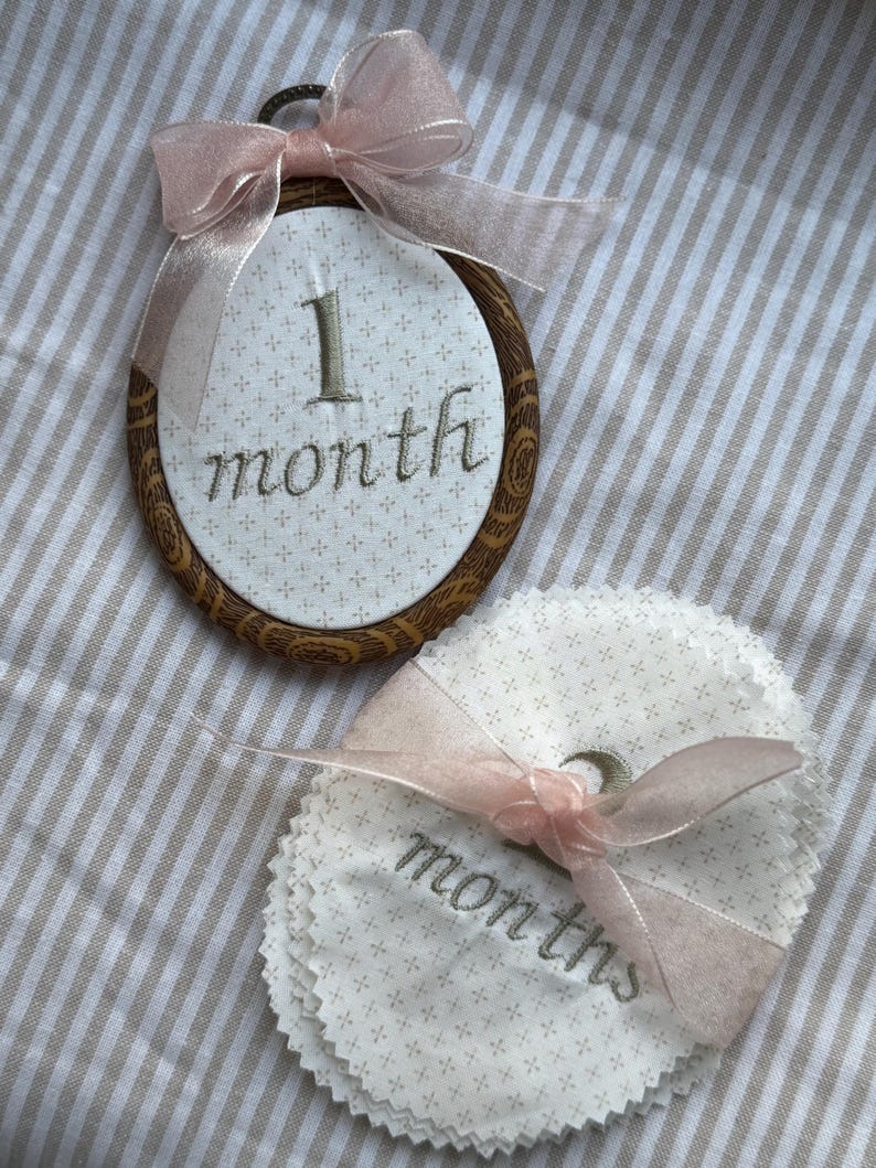 First Year Milestone Hoops | Embroidered Baby Milestone | Month Sign ...