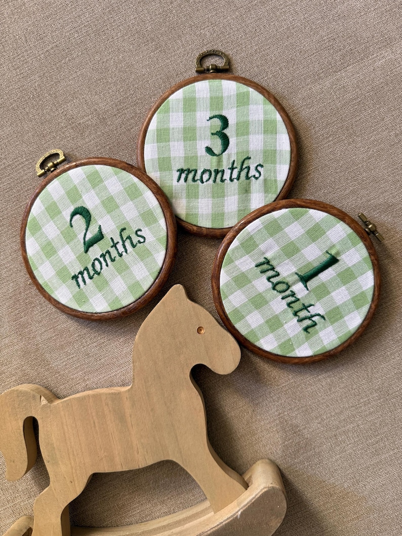 Green Gingham First Year Milestone Hoops | Embroidered Baby Milestone ...
