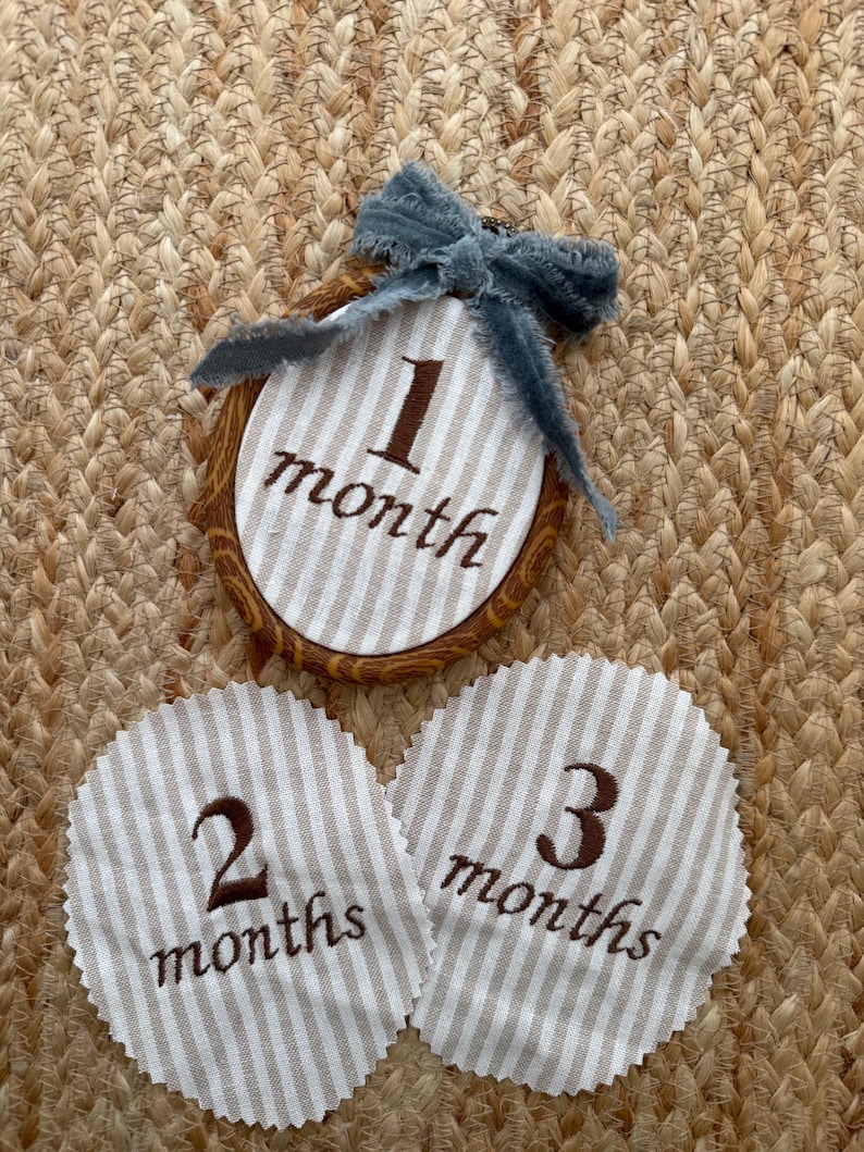 First Year Milestone Hoops | Embroidered Baby Milestone Hoops | Month ...