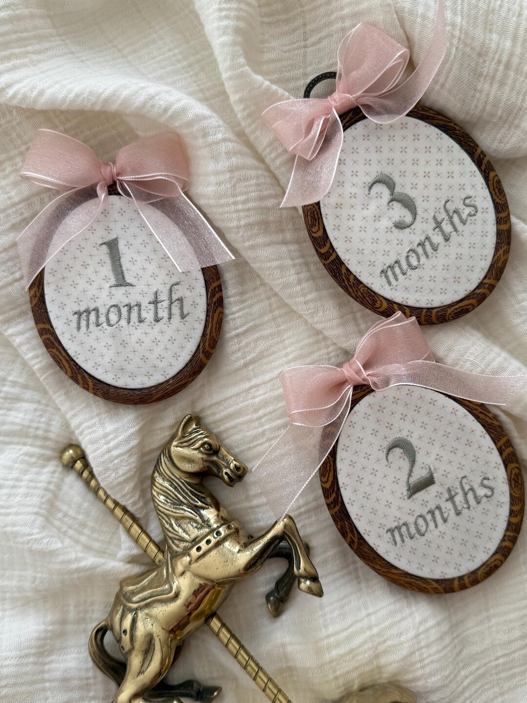 First Year Milestone Hoops | Embroidered Baby Milestone | Month Sign ...