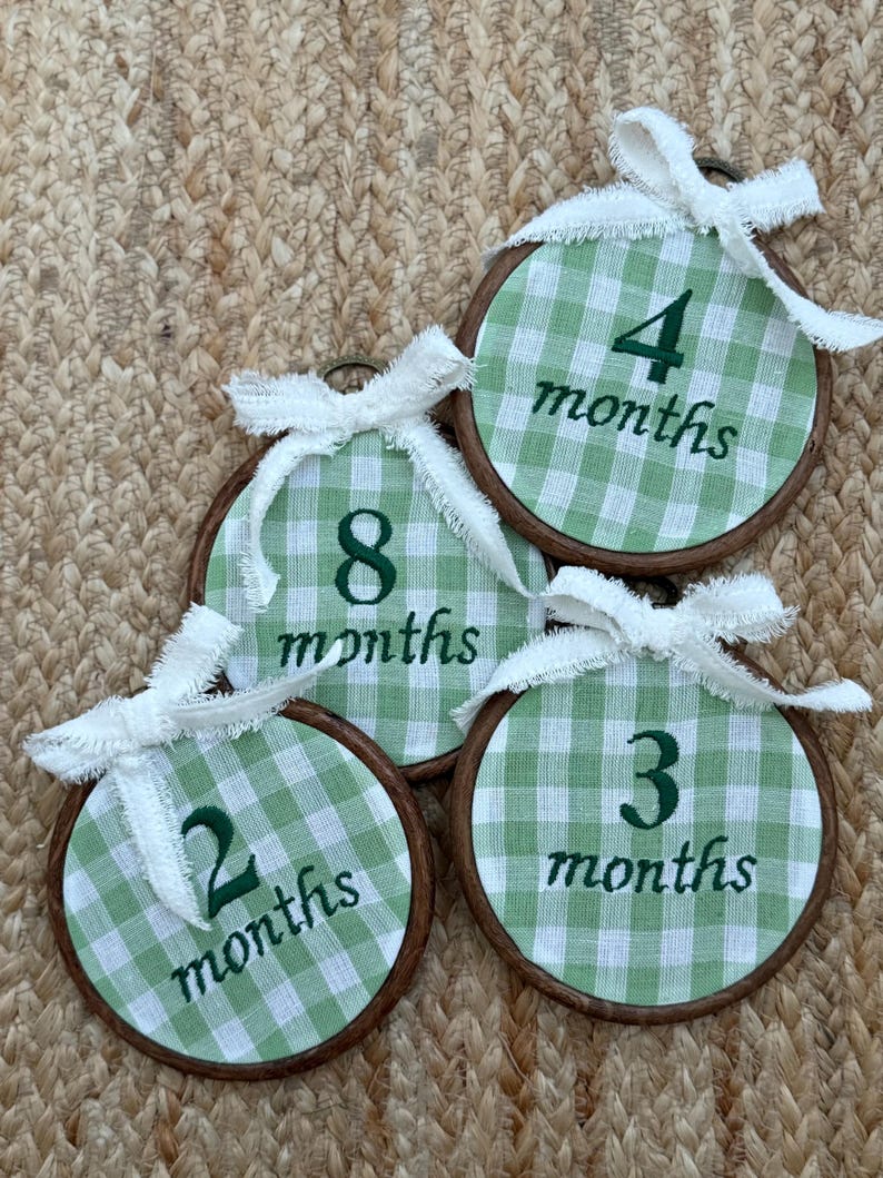 Green Gingham First Year Milestone Hoops | Embroidered Baby Milestone ...