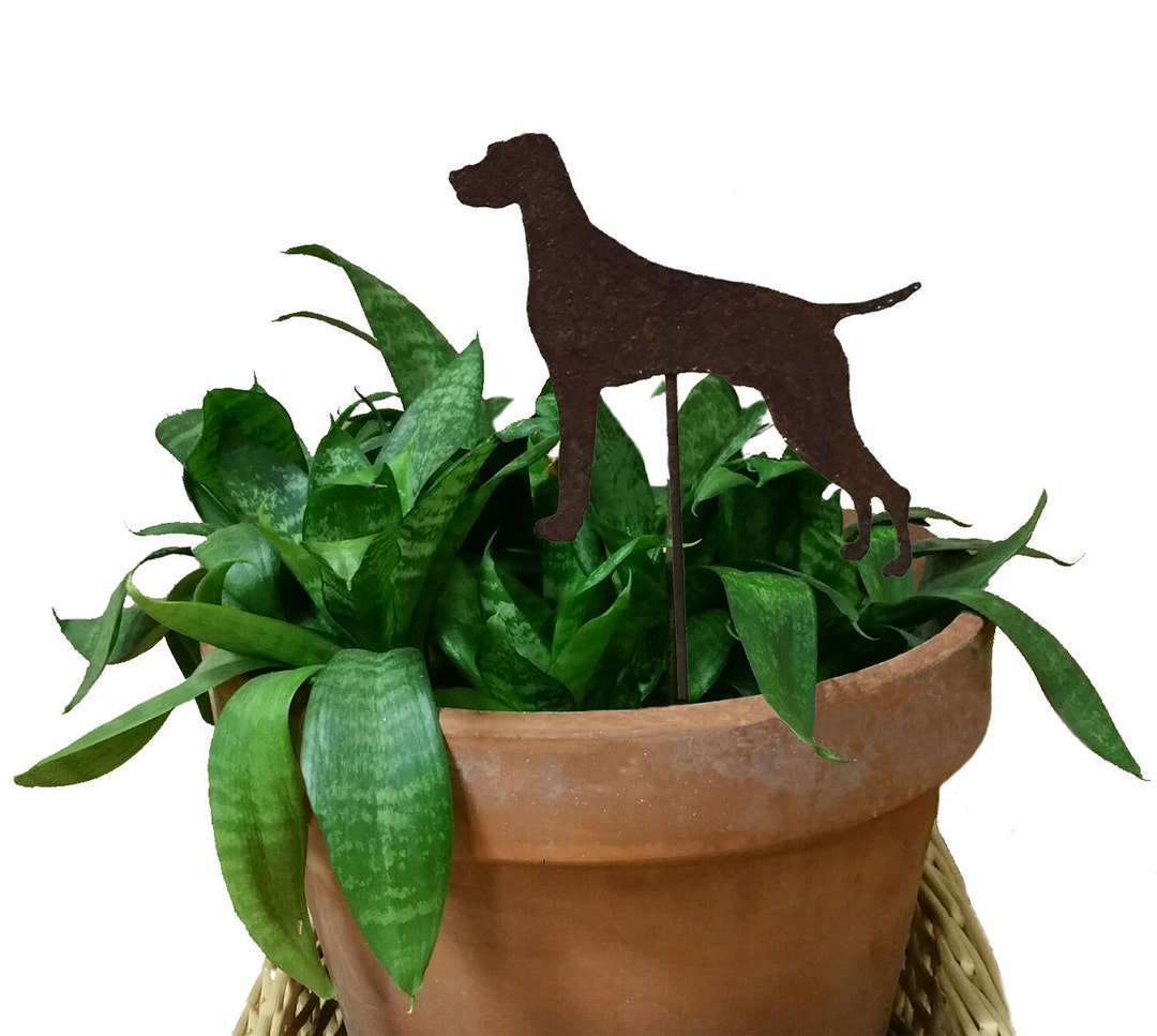 Vizsla Plant Markers Dog Remembrance Gift - Etsy