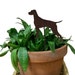 Vizsla Plant Markers Dog Remembrance Gift - Etsy
