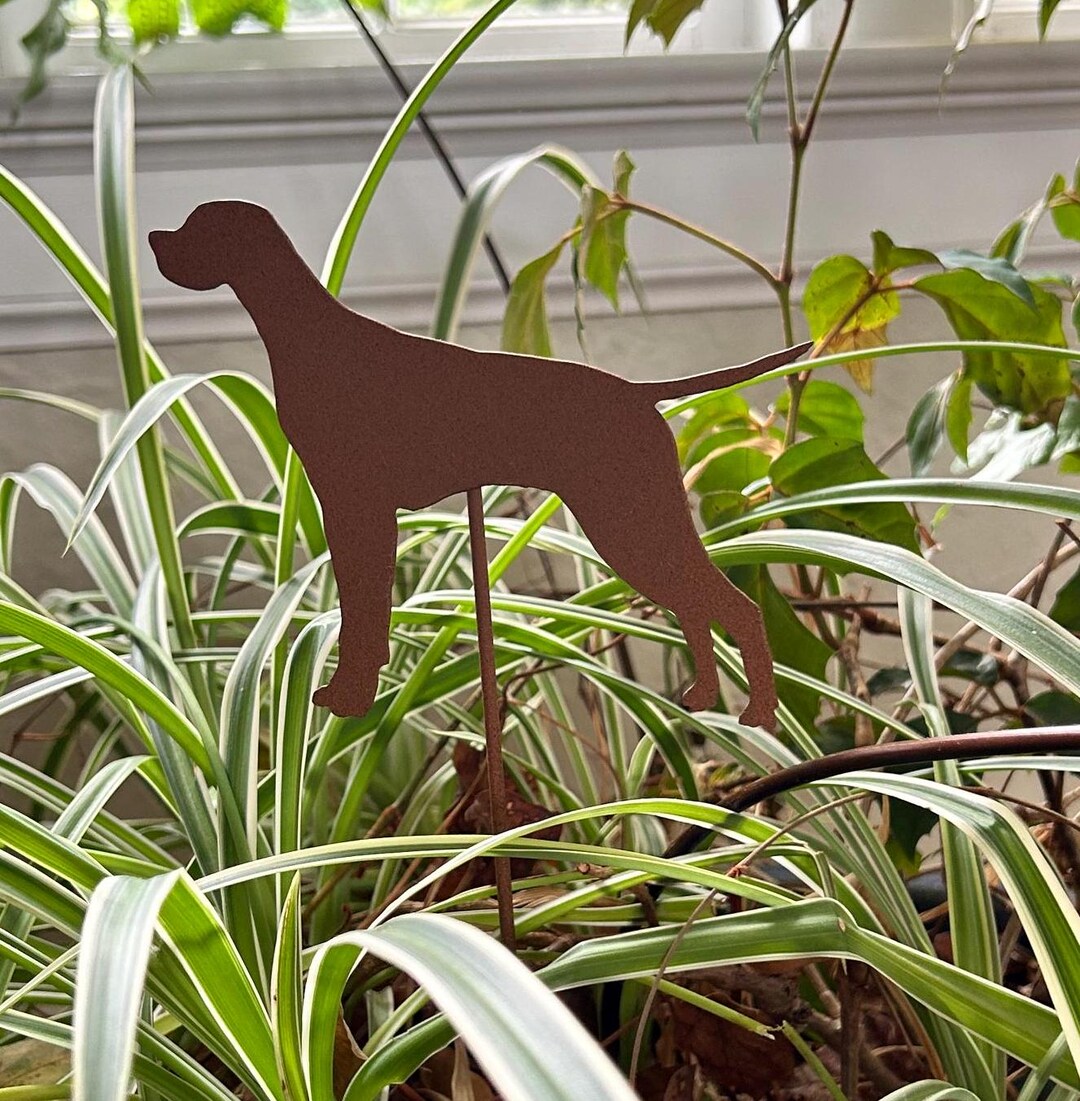 Vizsla Plant Markers, Dog Remembrance Gift - Etsy