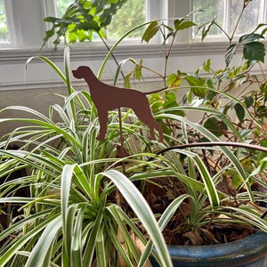 Vizsla Plant Markers, Dog Remembrance Gift - Etsy