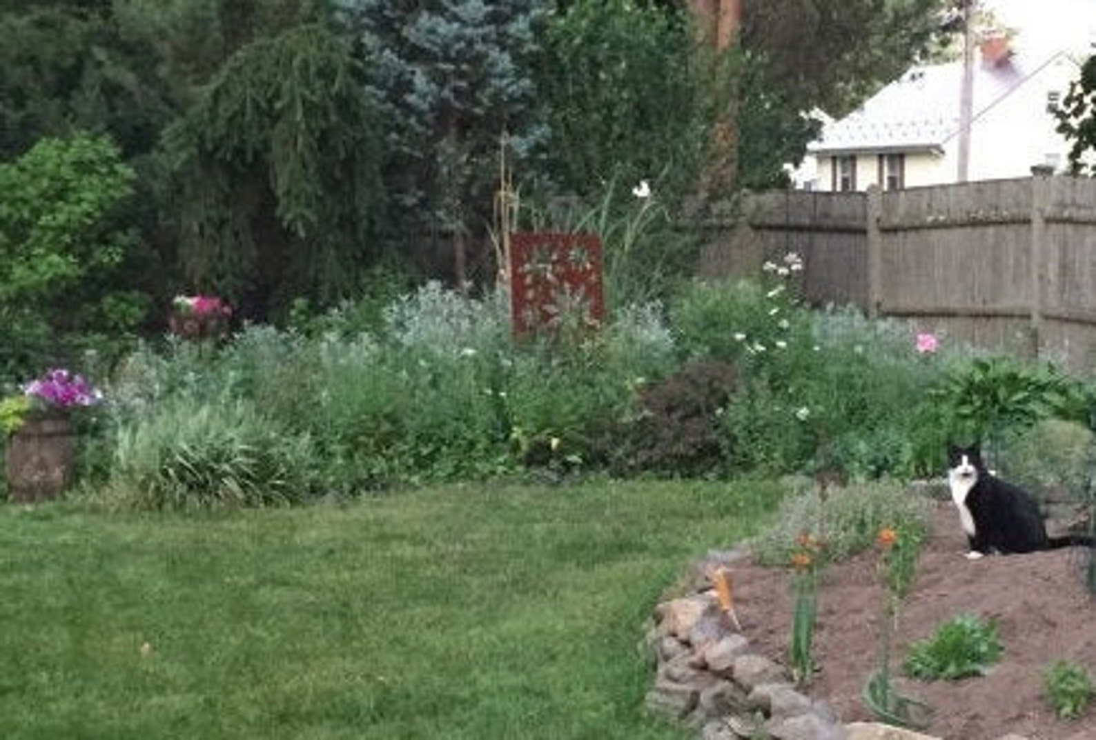 Decorative Privacy Screen Utility Box Cover Privacy Pergola | Etsy